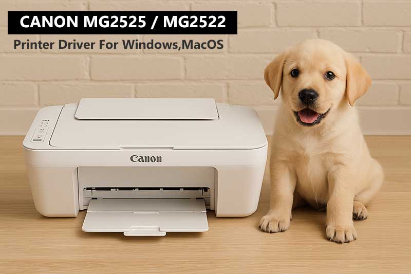 ดาวน์โหลดไดร์เวอร์ Canon MG2522 Driver for Windows 11, 10, 8, 7, XP